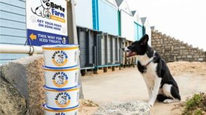 Yarde Farm releases new iced treat for dogs, Barke Farm - Bidfood