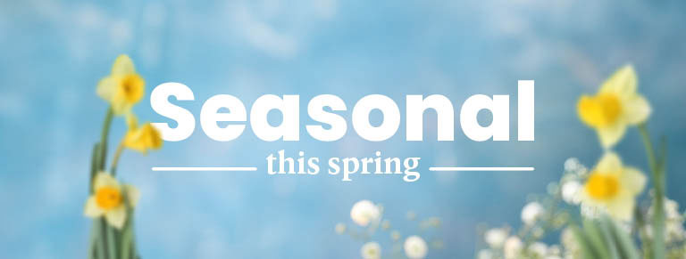 Spring Food Wholesale - Bidfood