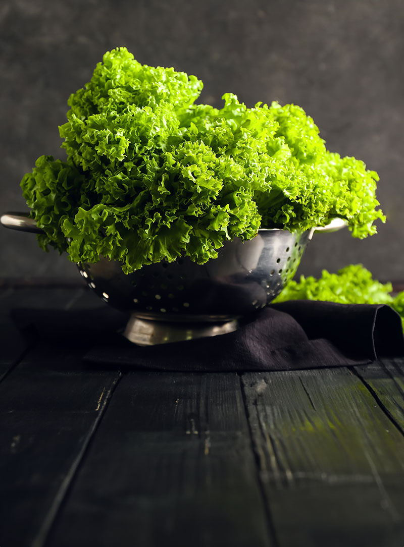 Spring Food Wholesale - Bidfood