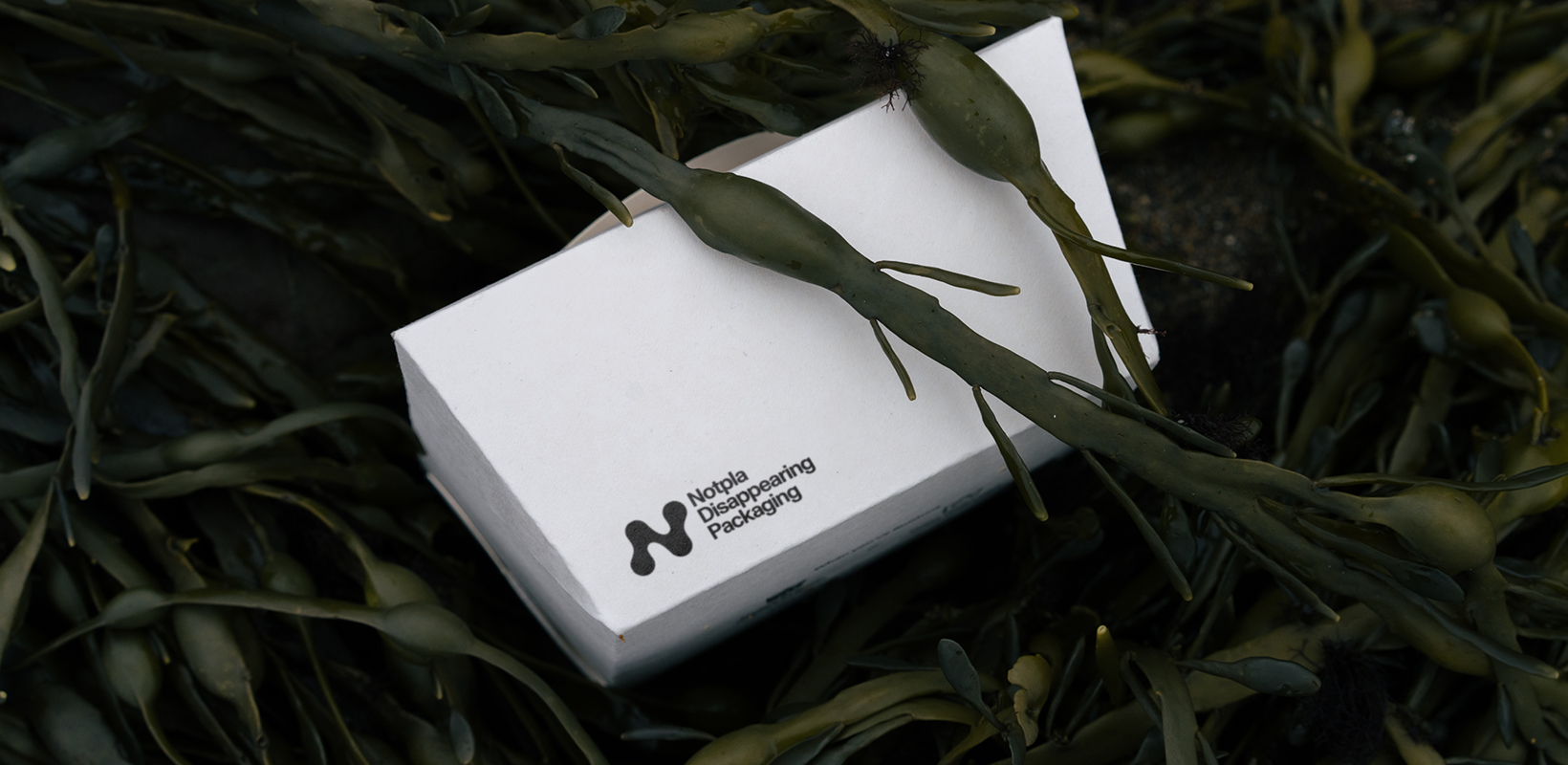 What is the future of grab and go packaging? | Bidfood blog