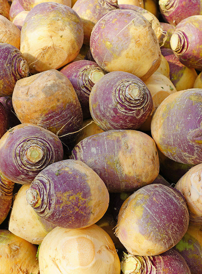 Autumn Seasonal Produce & Events | Bidfood