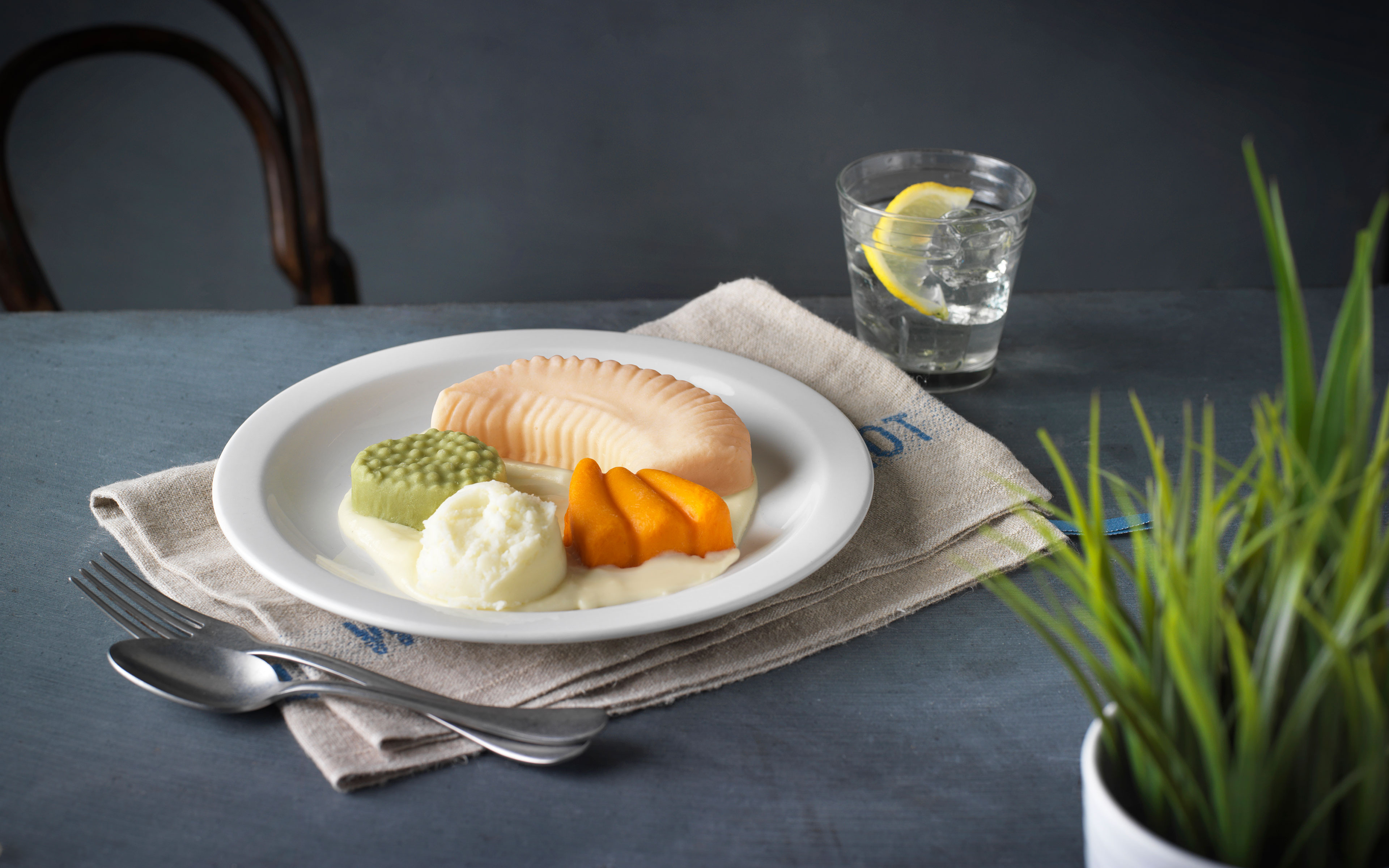 Wholesale Pureed Food Suppliers & Distributors - Bidfood