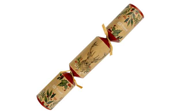 Christmas Crackers & Tableware Supplier | Bidfood