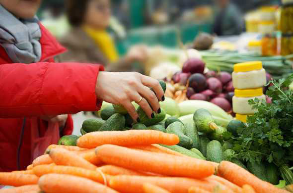 Bidfood sustainability factsheets